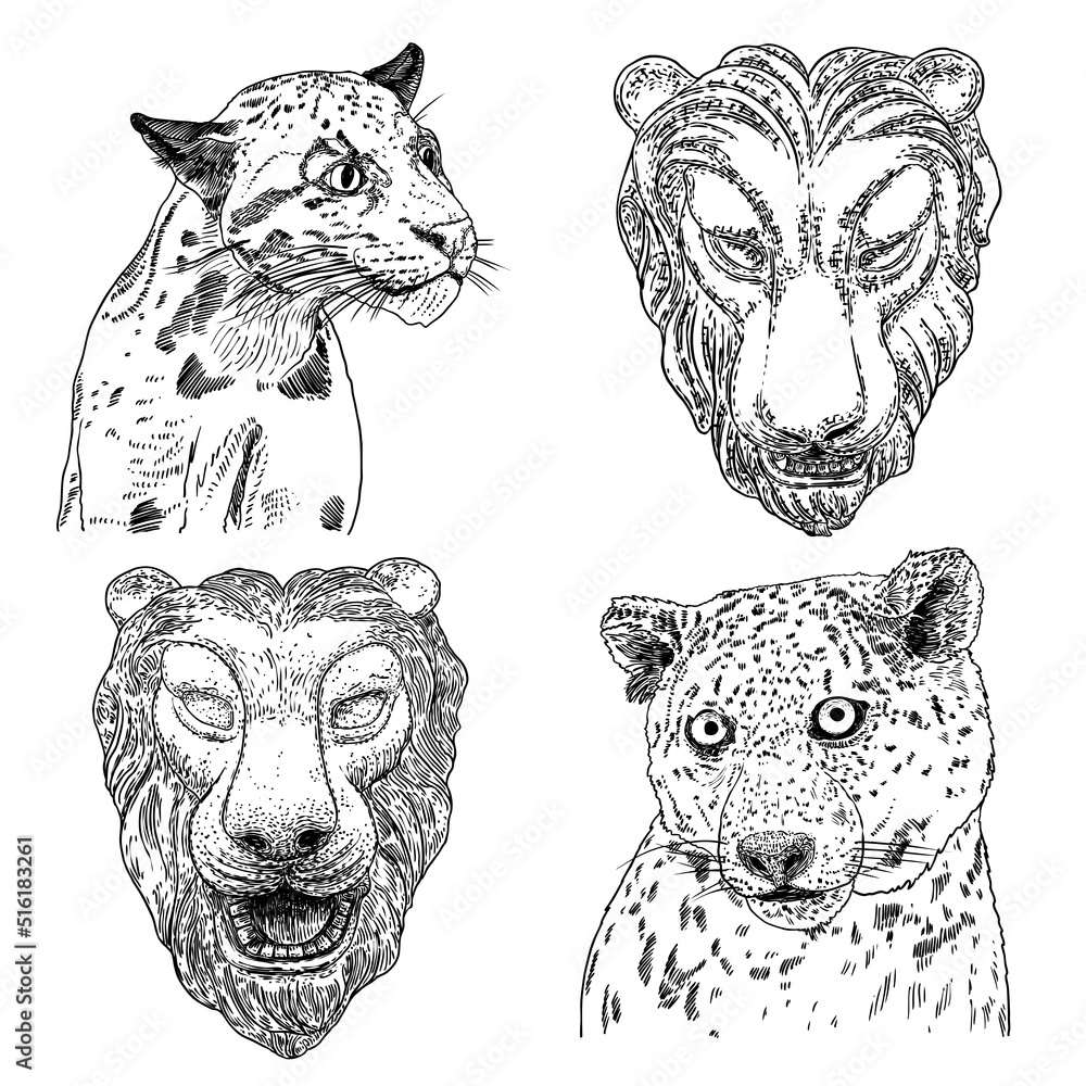 Set of live tiger and leopard in different view roaring and growling ...