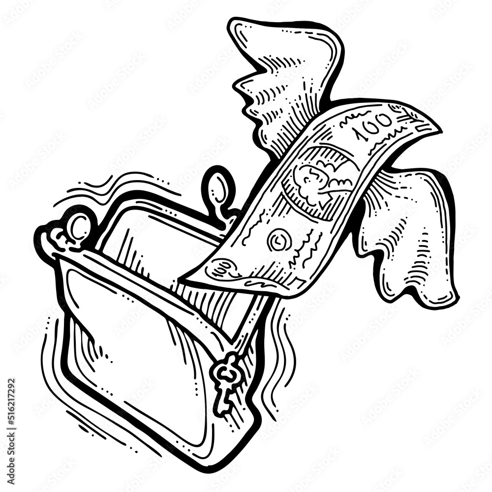 Money cash flying into and out of wallet. Income transfer, currency ...
