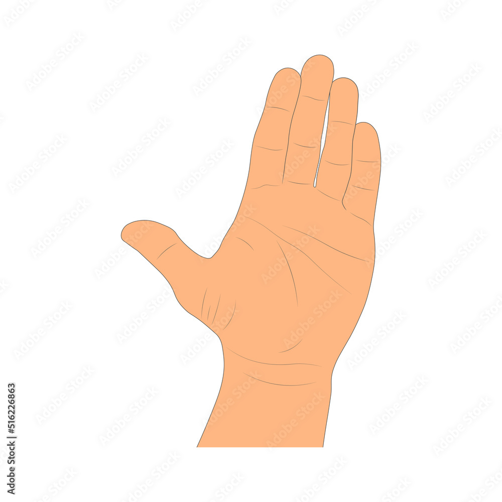Drawing cartoon human arm isolated on white background. Drawn hand palm ...