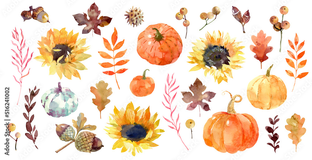 Watercolor autumn set: pumpkins and plants Stock Illustration | Adobe Stock
