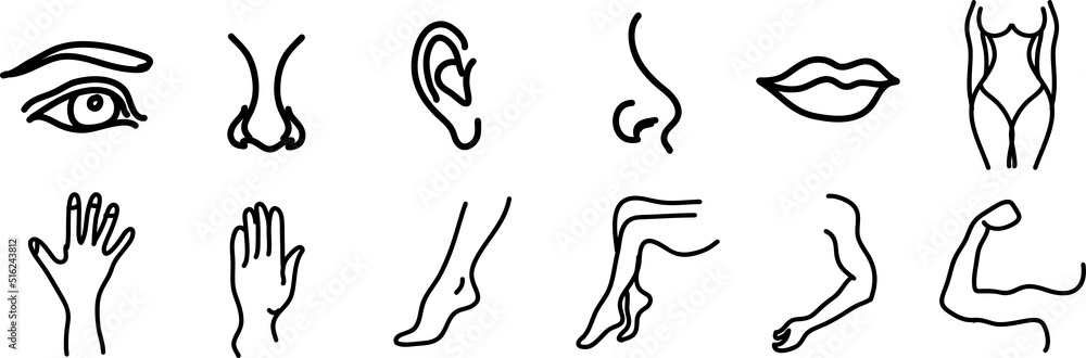 Vector image set of female body parts line icons..eps Stock Vector ...