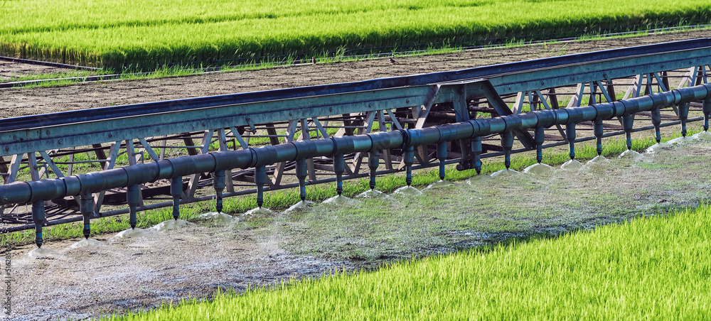 Irrigation system in function watering of rice field. Modern pipe and ...