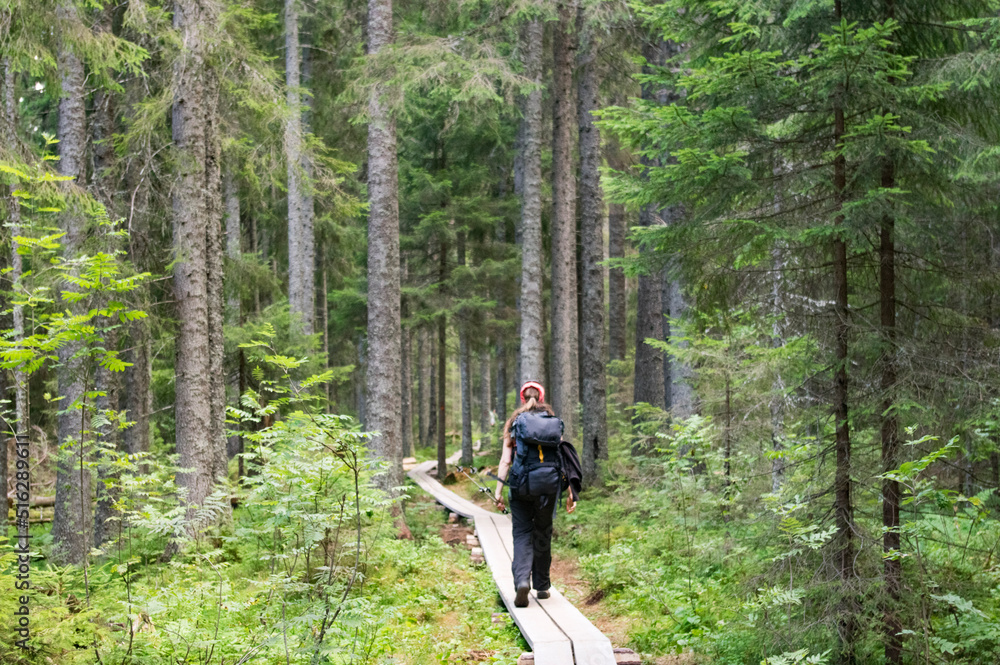 Randonneuse sur un sentier aménagé en forêt Stock Photo | Adobe Stock