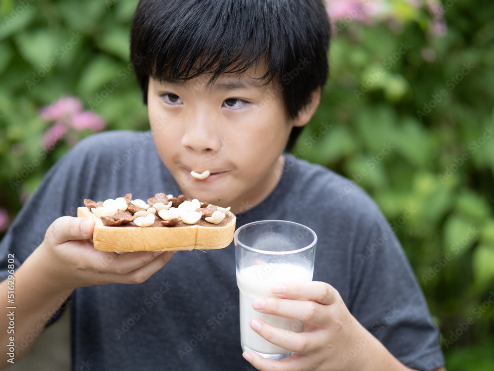 Asian cute boy show his teeth to biting big toast and milk. Little ...