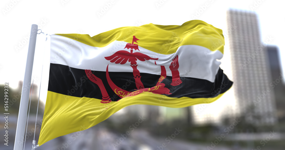 3d illustration flag of Brunei. flag symbols of Brunei. Stock ...