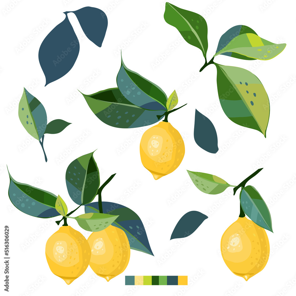 Set with hand drawn lemons and leaves. Make your own design. Clip art ...