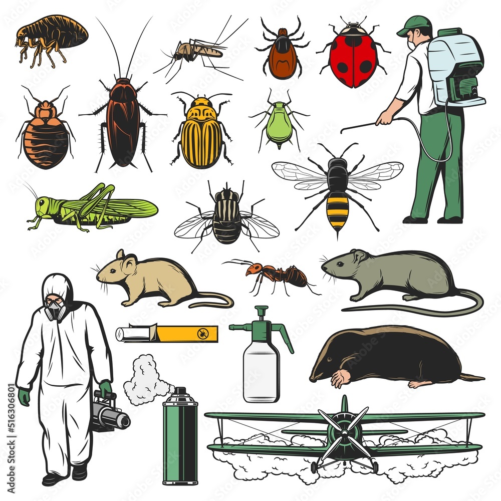 Pests control workers, insects and animals sketch icons. Exterminator ...
