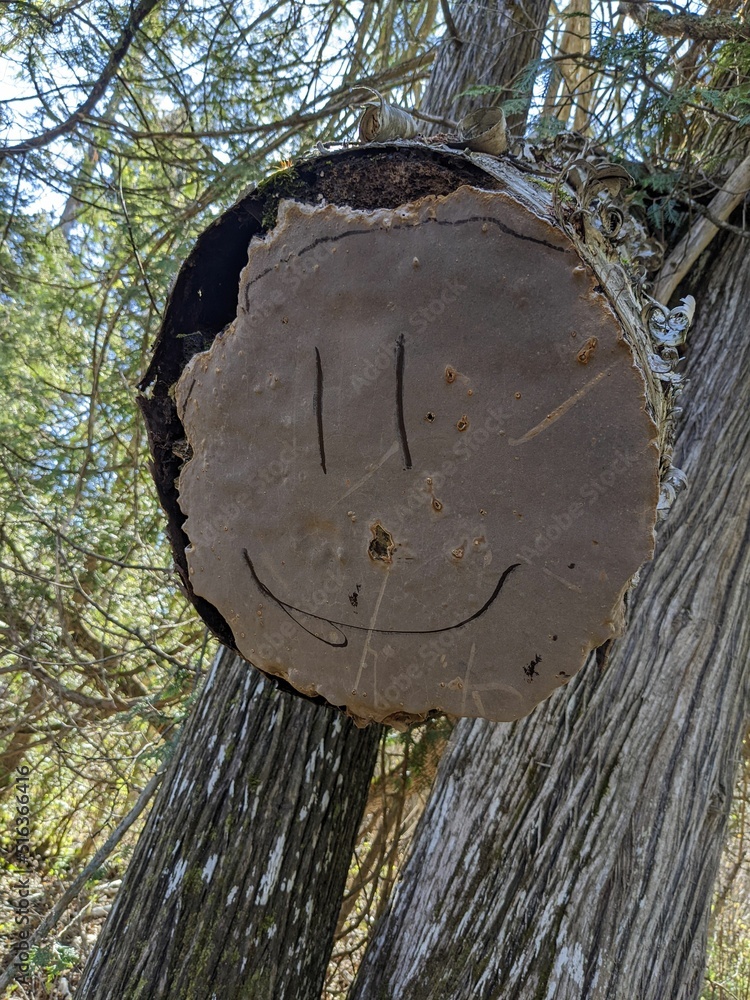 Smiley face drawn on cardboard attached to the bottom of a tree log in ...