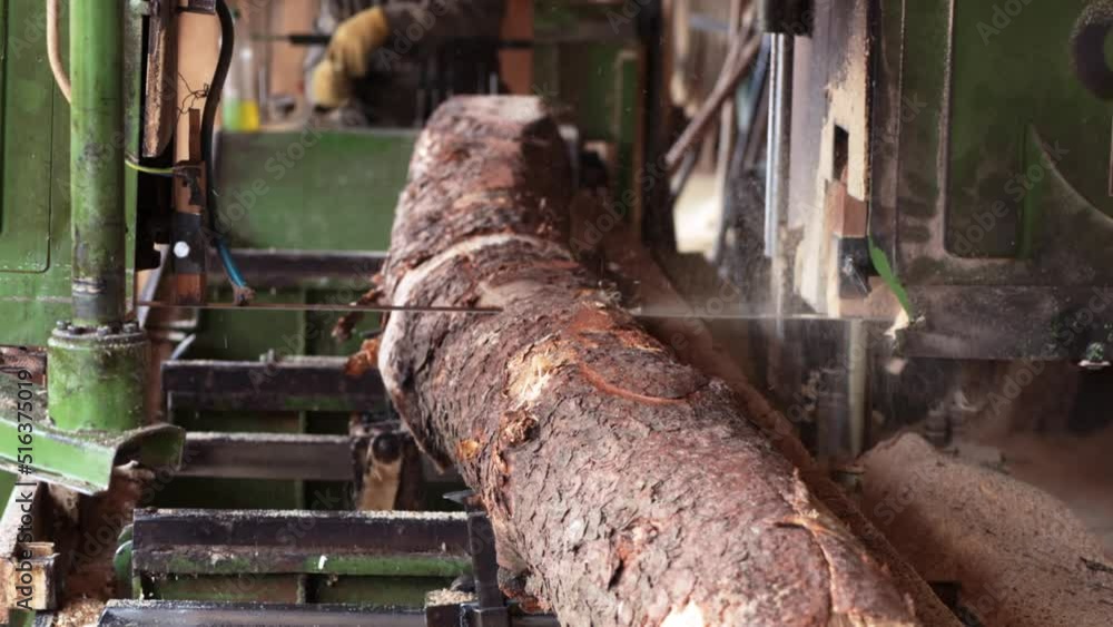 Sawing wood with a special machine. A sawing machine at a wood ...