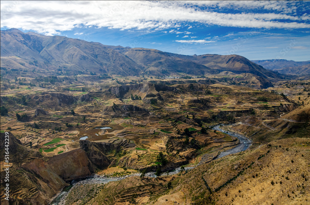 Vista de terrazas del Inca en el cañón del colca - Terrazas incas ...