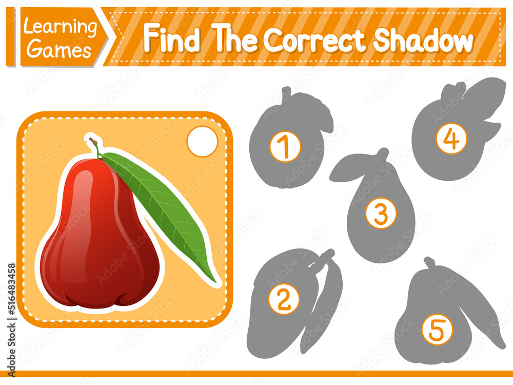 Find The Correct Shadow Find And Match The Correct Shadow Of Rose Apple ...