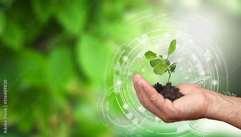 Hand holding green plant with icons energy sources for renewable ...