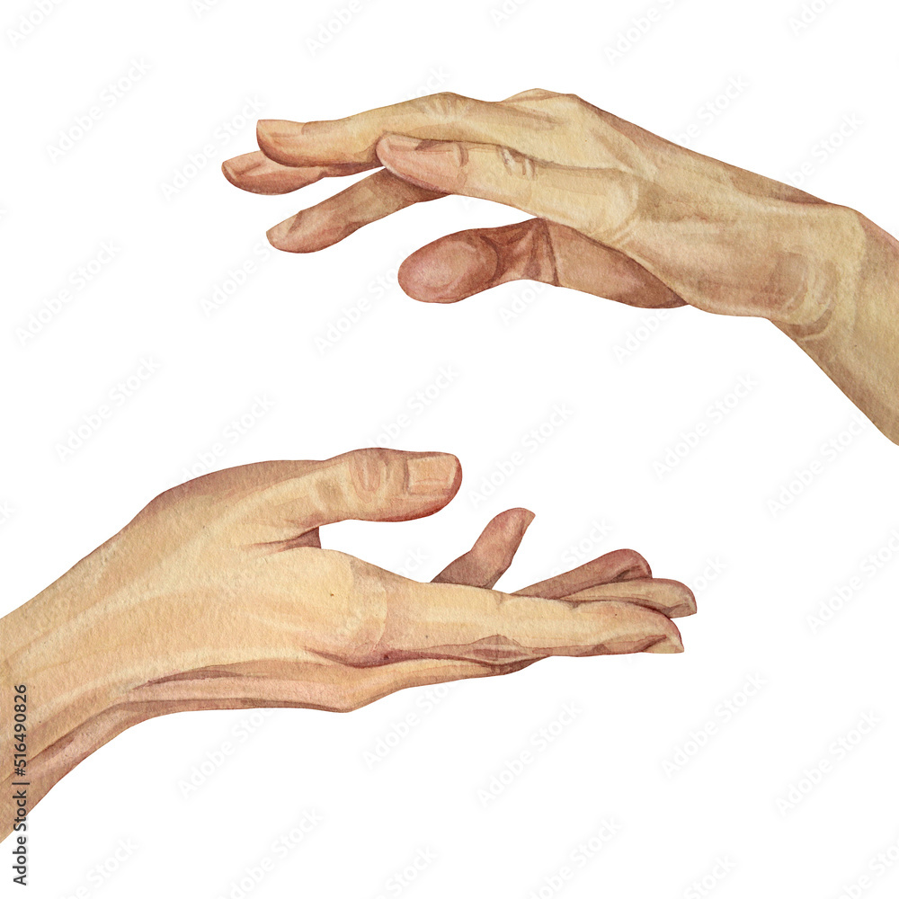 Watercolor composition two outstretched hands isolated on white ...