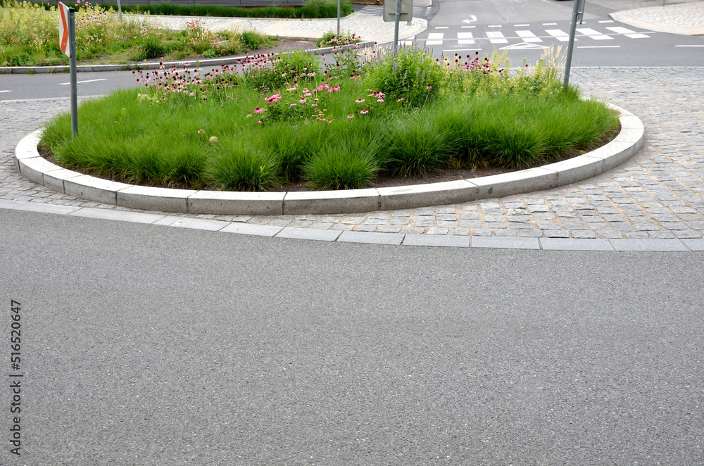 narrow and long petals lie downwards, offering a view of a distinctive ...