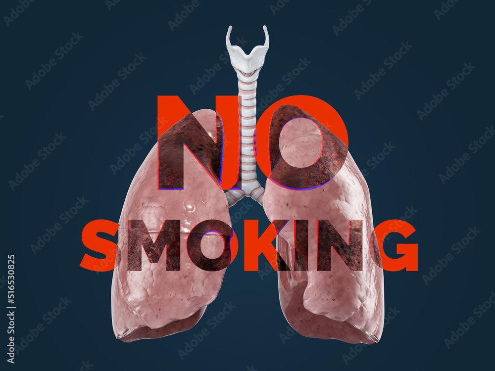 No smoking graphic concept. Healthy lungs with No Smoking text on it ...
