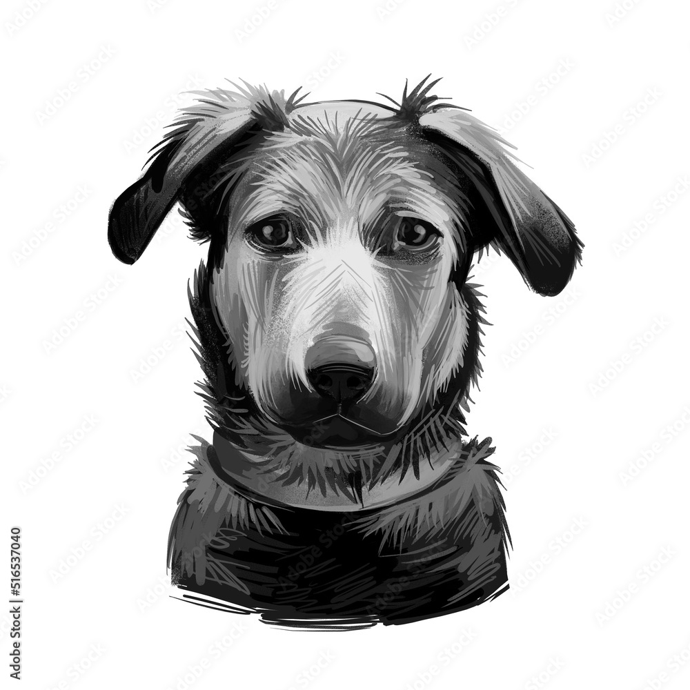 Huntaway, New Zealand Huntaway dog digital art illustration isolated on ...