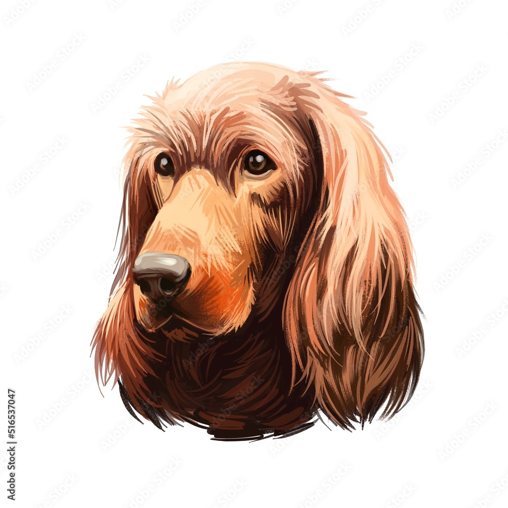 Irish Setter, Red Setter, Irish Red Setter dog digital art illustration ...