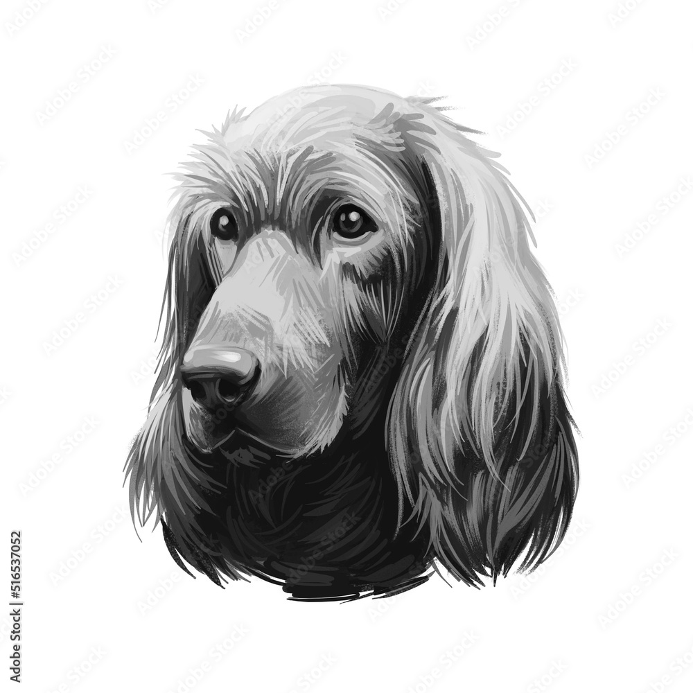 Irish Setter, Red Setter, Irish Red Setter dog digital art illustration ...