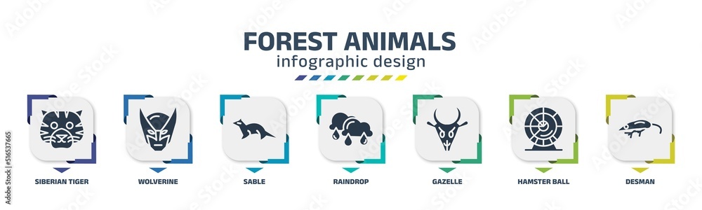forest animals infographic design template with siberian tiger ...