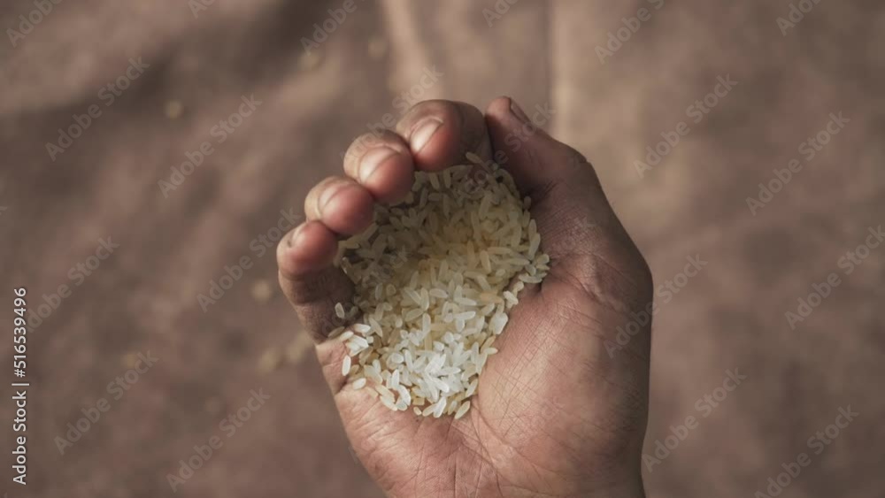 rice in dirty male hands, hunger and poverty concepts. conflict as a ...