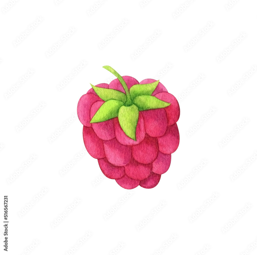Raspberries Clipart
