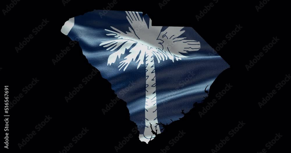 South Carolina state map with waving flag. State outline 4K Stock Video ...