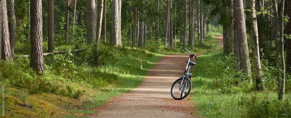 Bicycle parked on a hiking trail in the majestic evergreen forest park ...