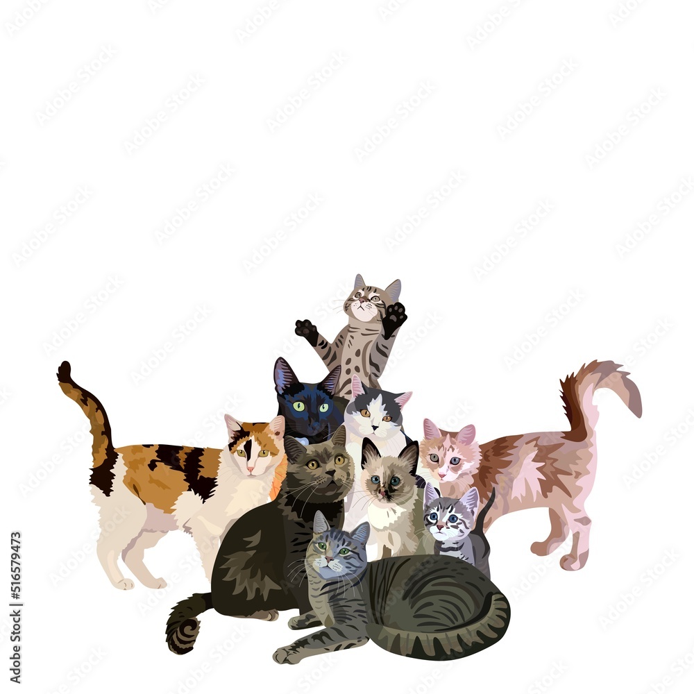 Group consisting of cats of different breeds isolated on white ...