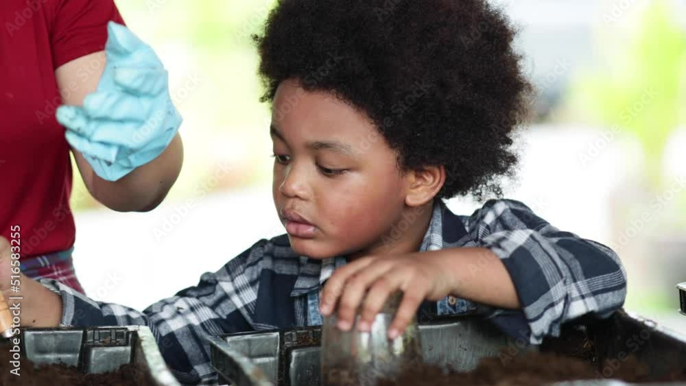 How to make manure. young american african black boy farmer learning ...