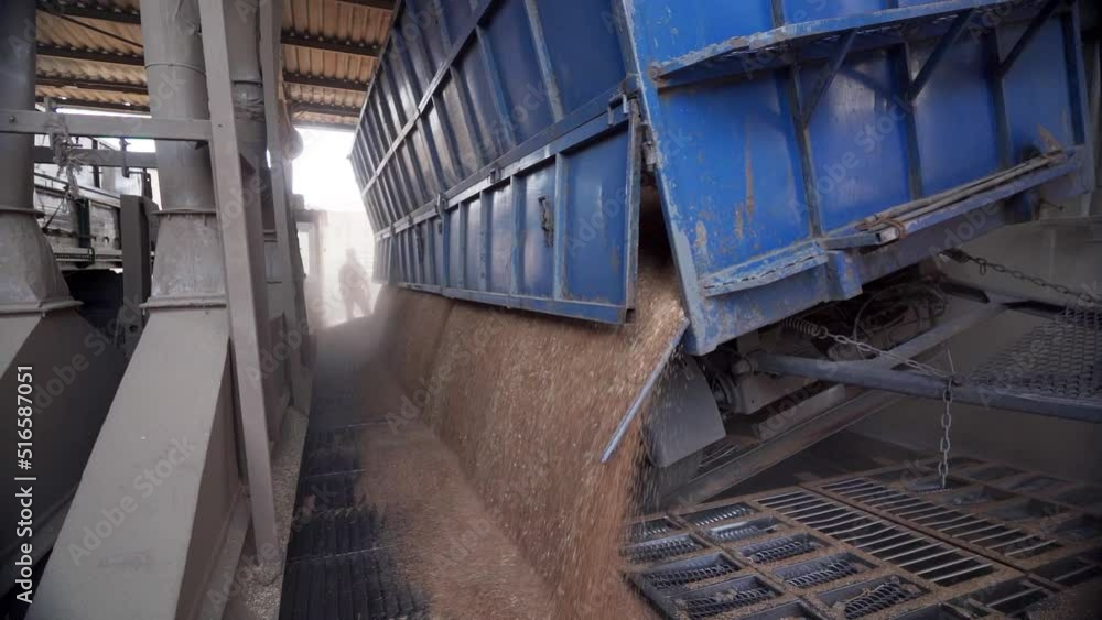 Stockvideo Panorama of unloading grain trucks at elevator on elevating ...