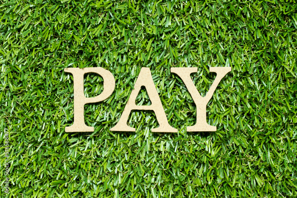 Wood alphabet letter in word pay on green grass background Stock Photo ...