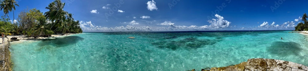 Pflanzen und Palmen auf Bandos - Malediven Stock 写真 | Adobe Stock