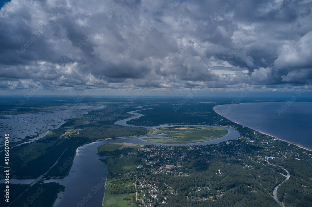 drone aerial birds eye view of a large green grass forest with tall ...