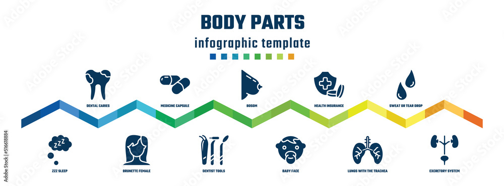 body parts concept infographic design template. included dental caries ...