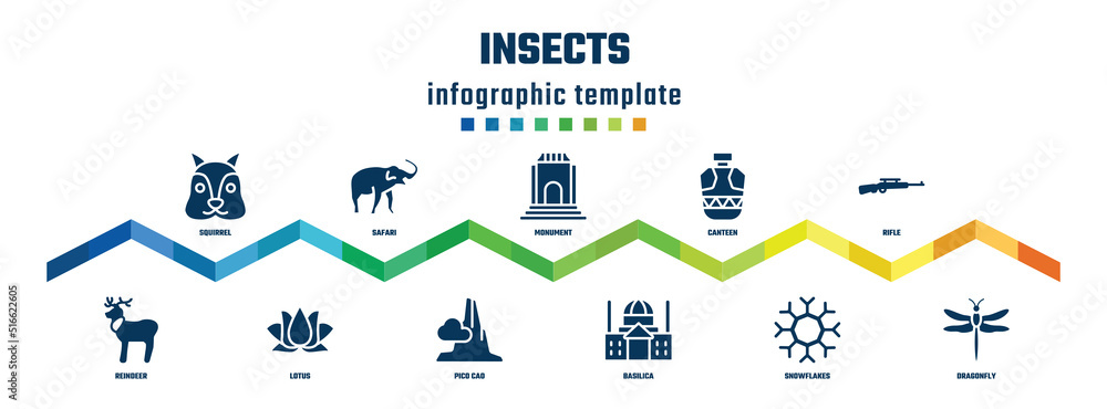 insects concept infographic design template. included squirrel ...