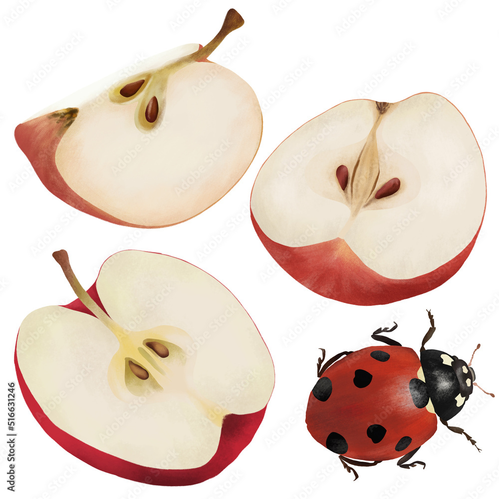Red apples set, sliced pieces and cute ladybug isolated on white ...