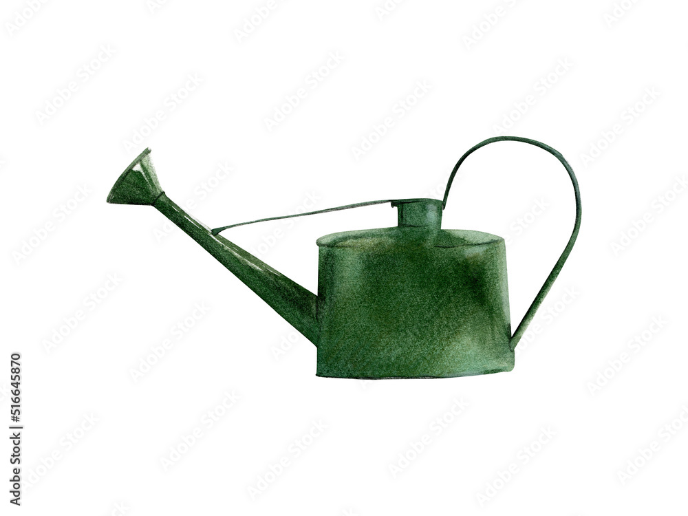 Watercolor green watering can illustration. Hand-drawn watering pot ...