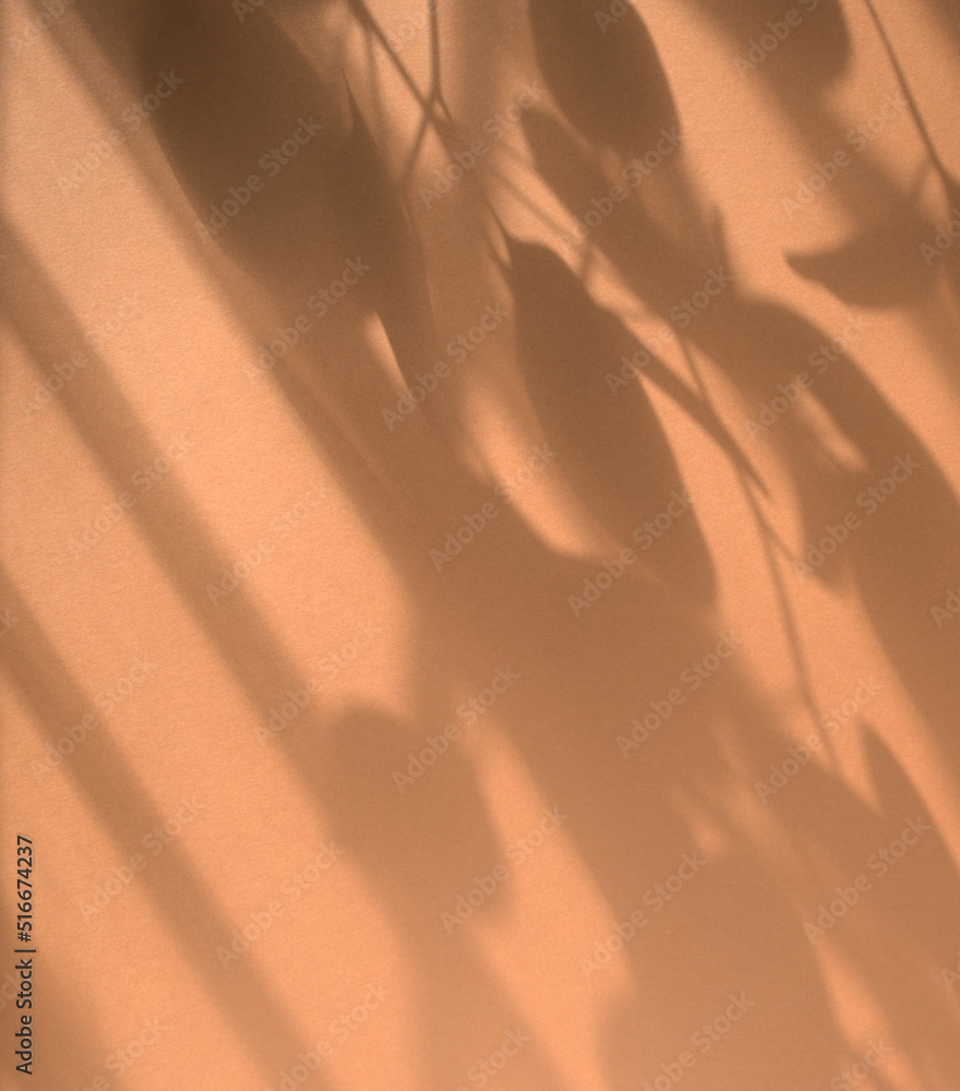 Natural leaves stem and window sunlight shadows overlay on brown ...