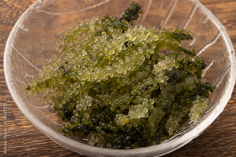 《沖縄県産》うみぶどう foto de Stock | Adobe Stock