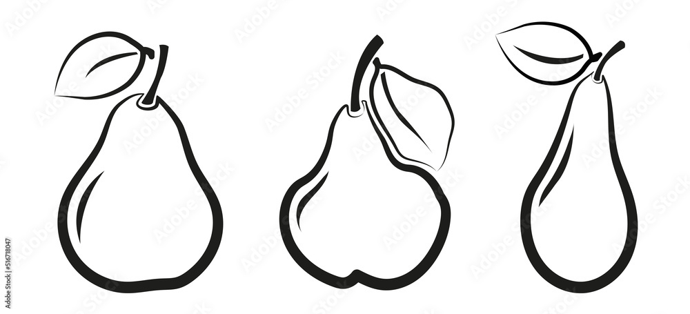 Vector Set of pears - three pear varieties - black art lines on white ...