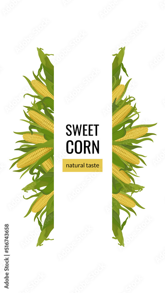 Banner with corn on the cob. Organic food, natural sweet corn vertical ...