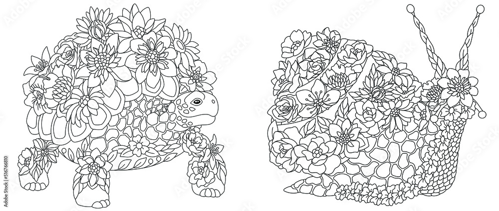 Turtle and snail coloring pages Stock Vector | Adobe Stock
