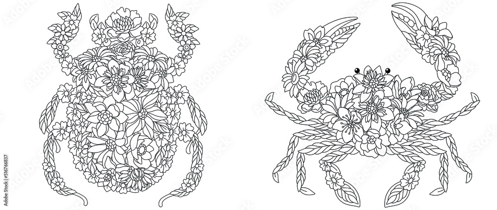 Egyptian scarab and crab coloring pages Stock Vector | Adobe Stock