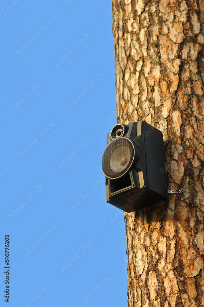 Loud speaker mounted hign on the pine tree Stock Photo | Adobe Stock