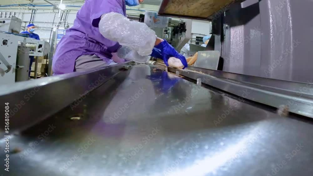 A worker on a conveyor lays out ice cream. Production of ice cream at ...