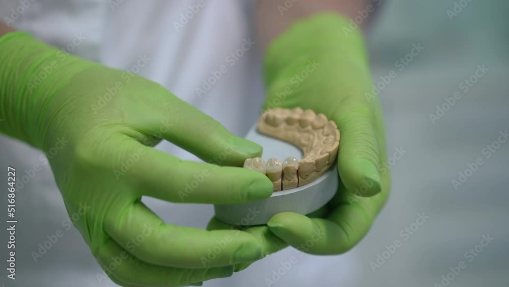 Close-up teeth sample model in hand of professional doctor taking out ...