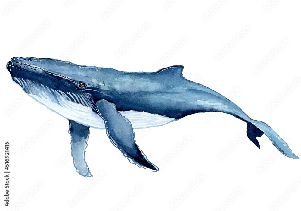 Blue Whale Painting