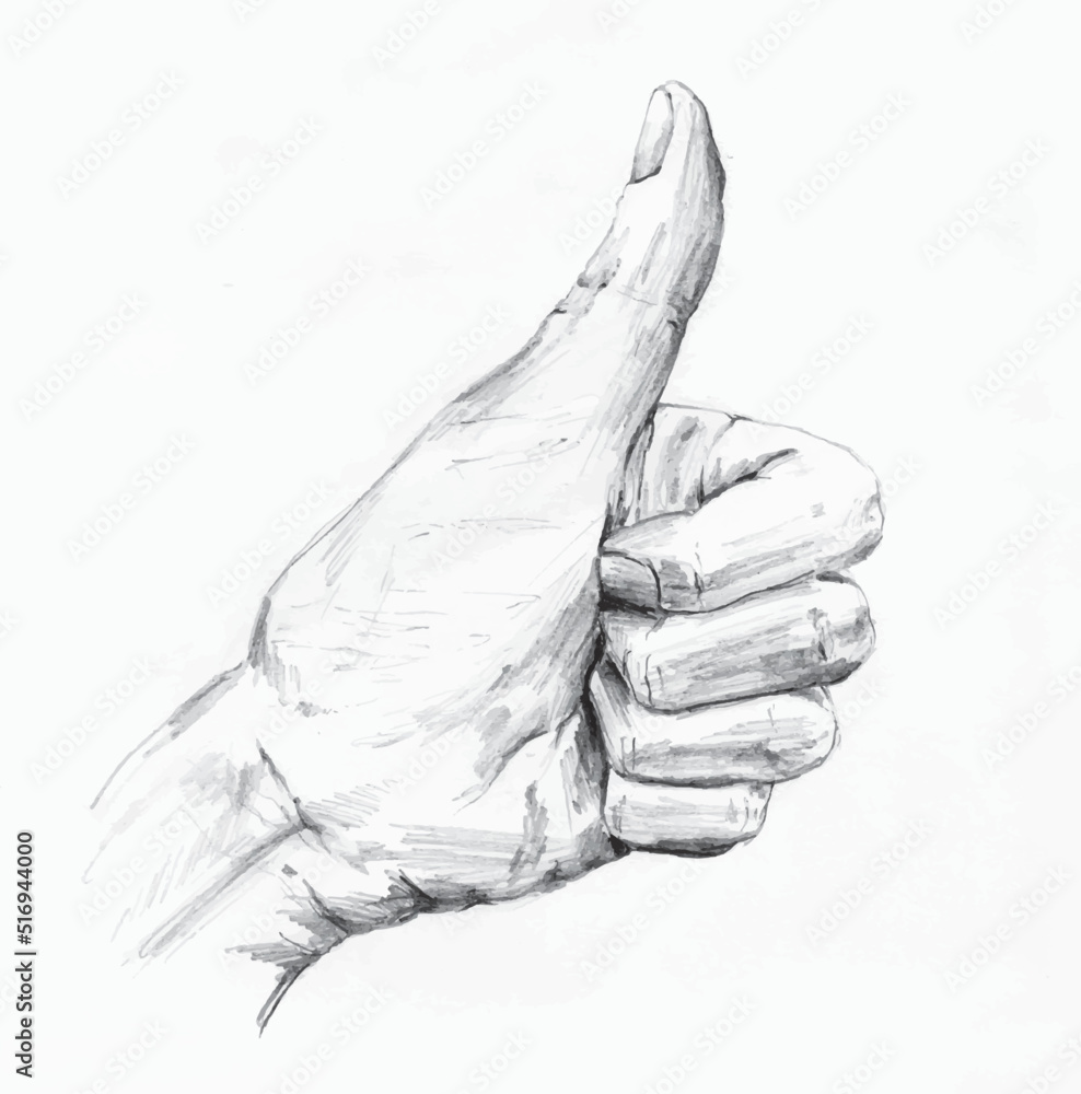 Pencil drawing of a hand in a like symbol position. Thumbs up. Stock ...