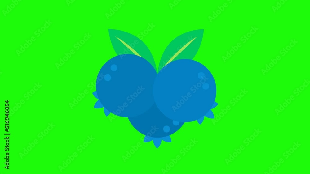 Blueberries icon animation on green background. Animated Fruit icons ...