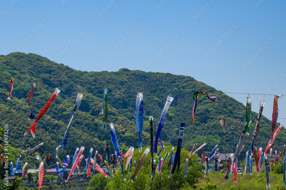 端午の節句に青空にたなびく鯉のぼり Stock Photo | Adobe Stock